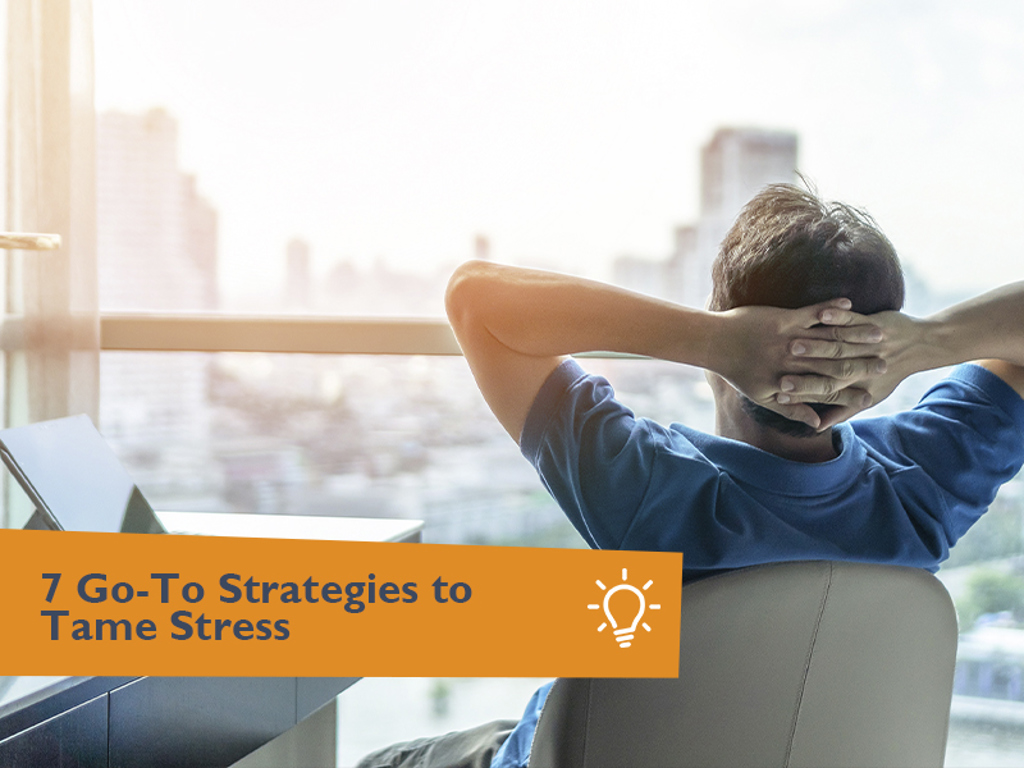 7 Go-To Strategies to Tame Stress Online Course - Expert LMS