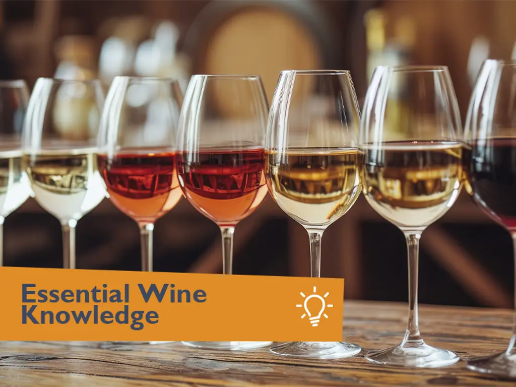 Essential Wine Knowledge for Everyone Online Course - Expert LMS