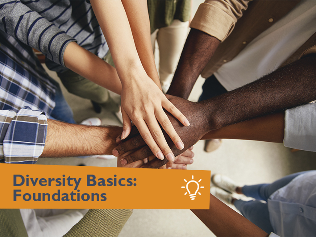Diversity Basics: Foundations Online Course - Expert LMS