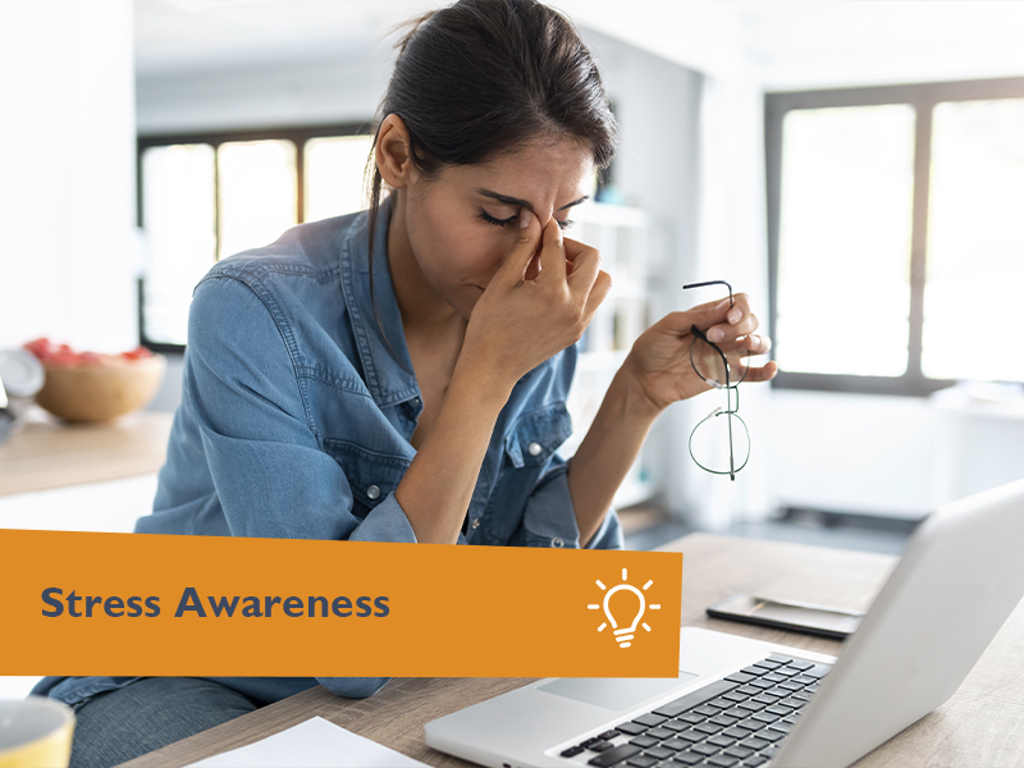 Stress Awareness Online Course - Expert LMS